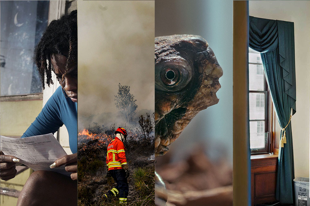 TIME Studios Shorts | International Documentary Association