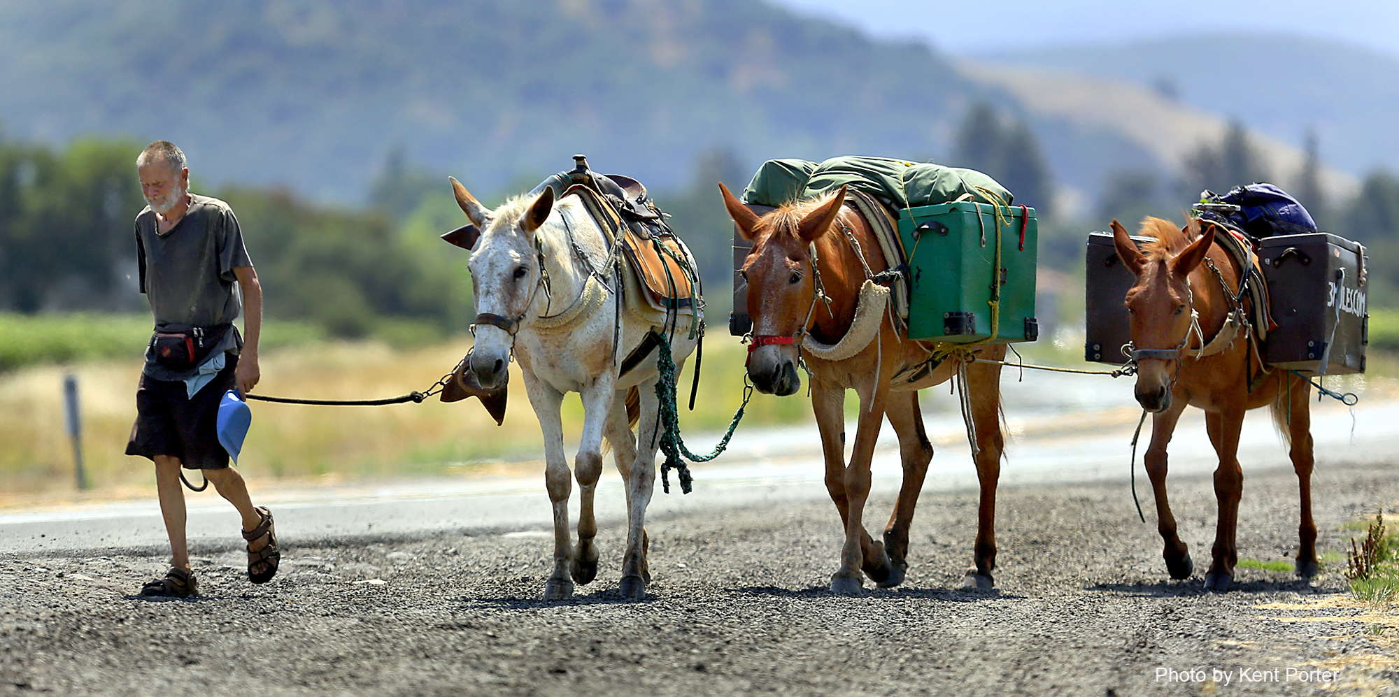 Call Me Mule | International Documentary Association